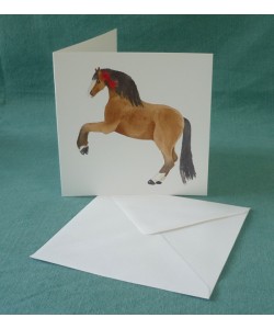 Pony Card